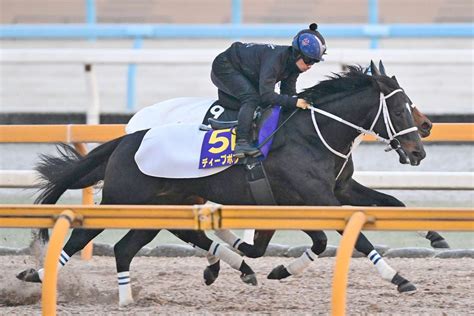 東スポ競馬 On Twitter 【 有馬記念 追い切り】「普段のキャンターからして動きが違います」と陣営も好感触！ディープボンド は