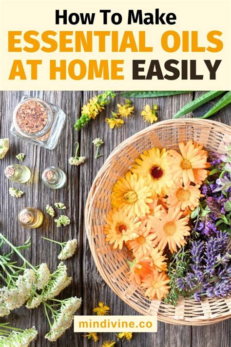 How To Make Essential Oils Your Step By Step Guide