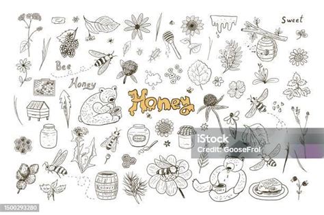 Ensemble Dillustrations Vectorielles Dabeilles De Miel Et Dours