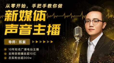 手把手教你做新媒体声音主播 视频教程网