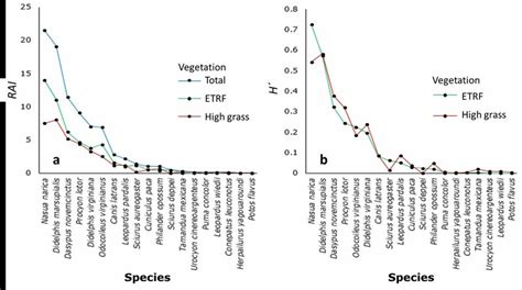 Relative Abundance And Proportional Abundance Of Medium Sized And Large Download Scientific