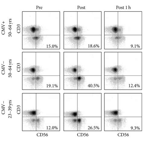 Latent Cmv Infection Impairs The Exercise Induced Mobilization Of