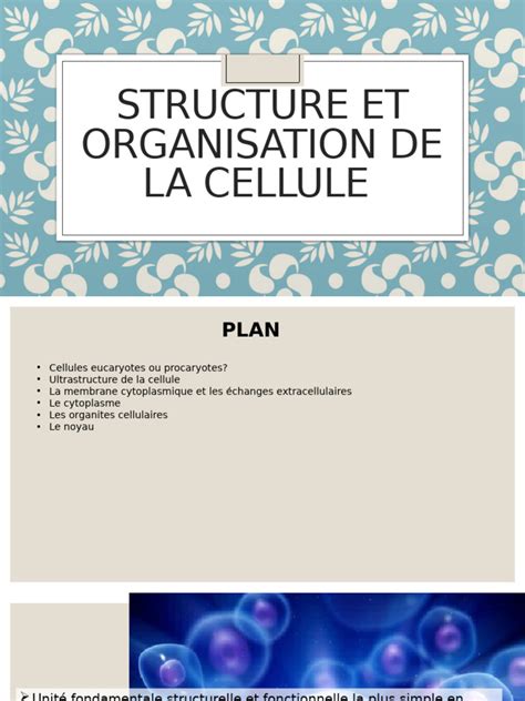 Strucutre Et Organisation Cellule Pdf