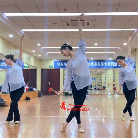 古典舞女儿情群舞练功服女飘逸纱衣形体舞蹈服当代身韵艺考演出服虎窝淘