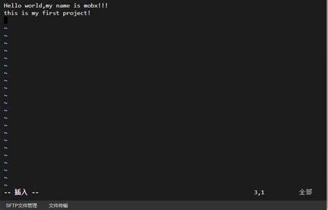 vim快速上手极简操作练习 第一篇 vim编辑器简单的练习 csdn博客
