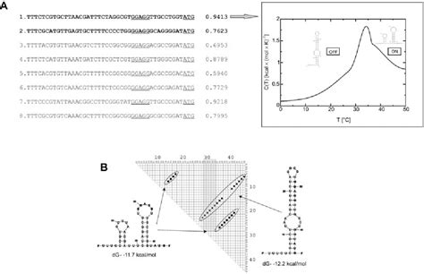 Figure 1 From Generation Of Synthetic RNA Based Thermosensors Semantic Scholar