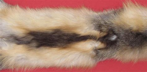Tanned Furs Cross Fox 6660 0298