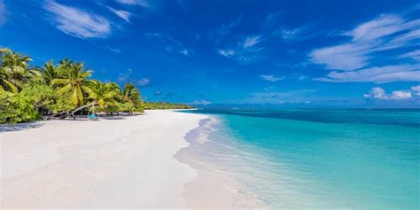 Best Shore Excursions Western Caribbean Cruise