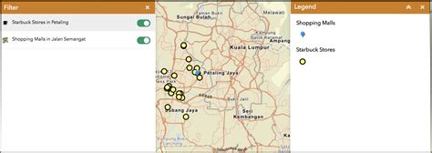 Problem The Filter Icons In The Filter Widget Are Not Displayed On The Map
