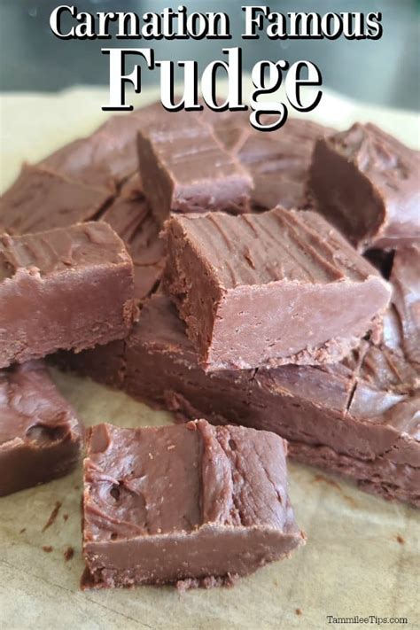 Carnation Famous Fudge Recipe Tammilee Tips