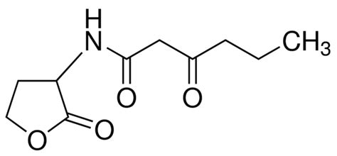 N Beta Ketocaproyl DL Homose K3255 25MG SUPELCO SLS