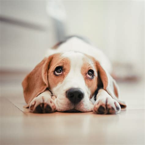 Top 999 Feeling Sad Images Amazing Collection Feeling Sad Images Full 4k