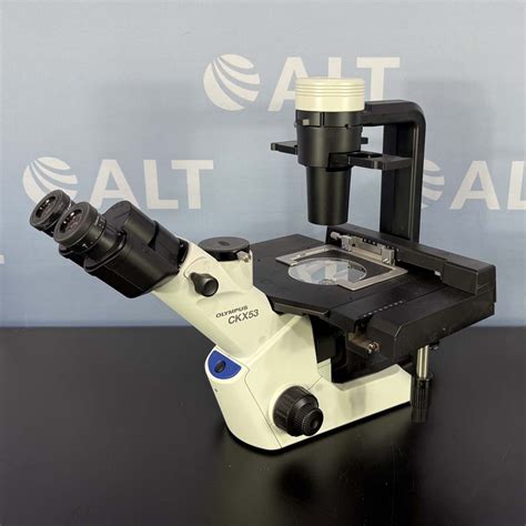 Olympus Ckx53sf Inverted Microscope