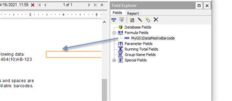 Gs1 Data Matrix In Crystal Reports Barcodewiz