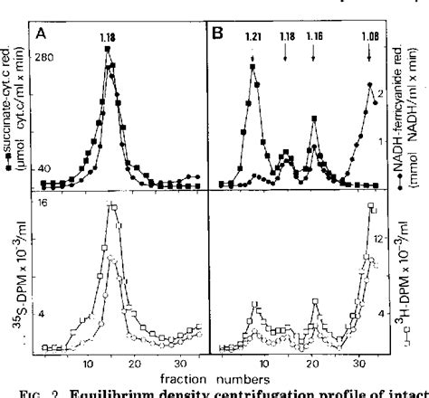 Figure 2 From Biosynthesis Of Rat Liver Cytochrome P 450 In