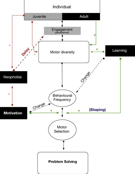 Conceptual Model Illustrating The Central Role Of Motor Variability