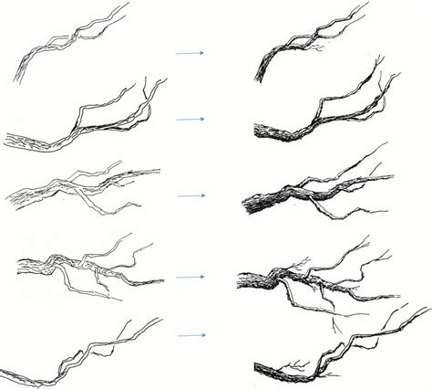How To Draw Branches Economicsprogress5