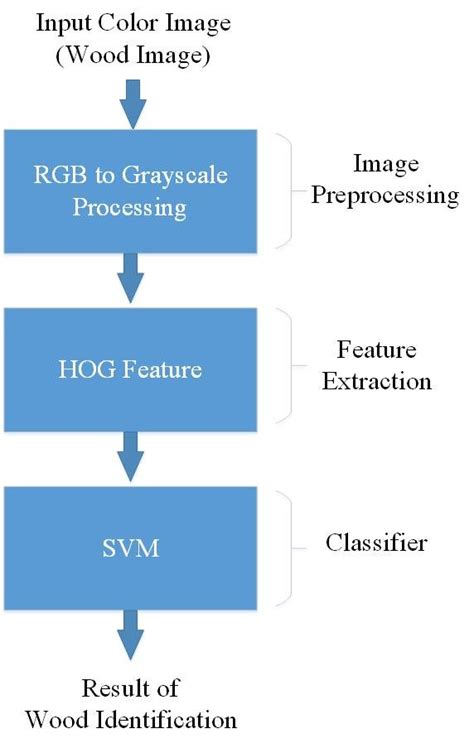 overview of the wood identification process using histogram of oriented