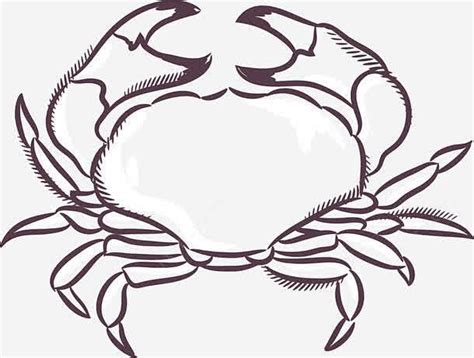 素描白色螃蟹png免抠素材 新图网 https ixintu 素描螃蟹 大闸蟹 白色钳子 白色蟹脚 海鲜 白色螃蟹