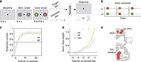 task design and performance a feature based reversal learning task