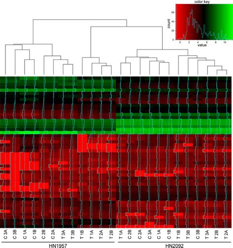 Unsupervised Hierarchical Cluster Analysis Of The Expression Levels Of Download Scientific