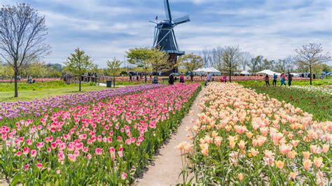 We Re Visiting Holland And It S Not In The Netherlands We Made Our