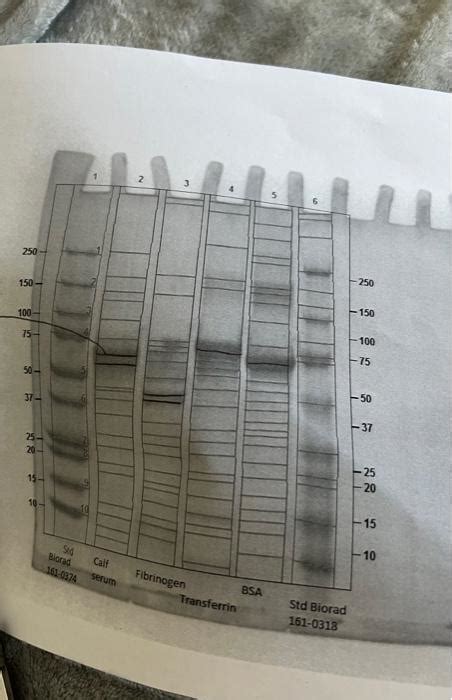 Which Parts Do I Measure To Find RF SDS Page Lab Chegg Com