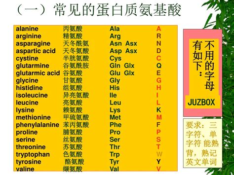 Ppt 第三章 氨基酸 Powerpoint Presentation Free Download Id 3695290