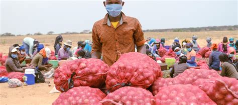 Cofina Sénégal Proparco Groupe Agence Française De Développement
