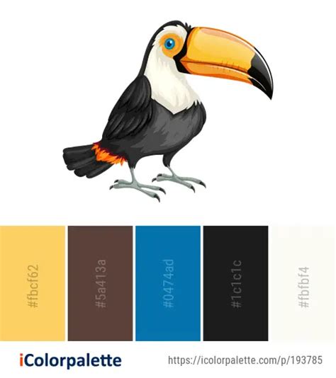 Color Palette Ideas From Toucan Bird Beak Image Icolorpalette