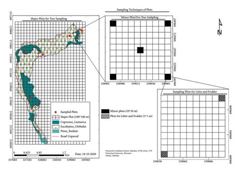Sampling Design Of Major Plots Above Left Minor Plots Above