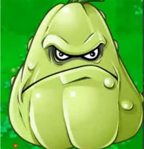 Top 6 Premium Plants In Plants Vs Zombies 2 Levelskip