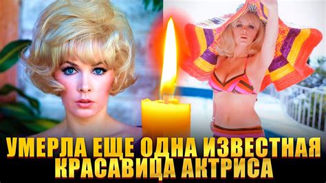 УМЕРЛА ЕЩЕ ОДНА КРАСАВИЦА АКТРИСА Этот мир покинула Стелла Стивенс