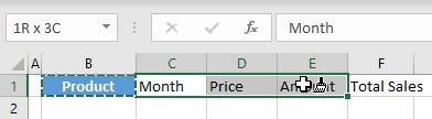 Use Format Painter For Multiple Cells In Excel Google Sheets Automate Excel