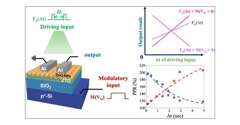 Dual Light Temporal Coding Modes Enabled By Nanoparticle Mediated