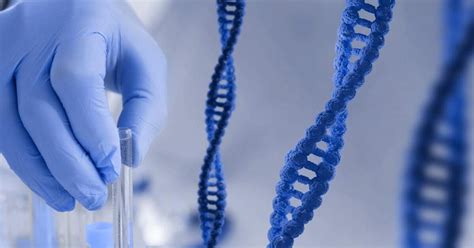 Sequencing
