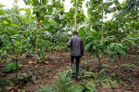 The Secret Ingredient To Restoring Forests Successfully