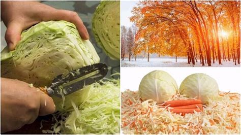 Вкусная хрустящая капуста на зиму / Едальня