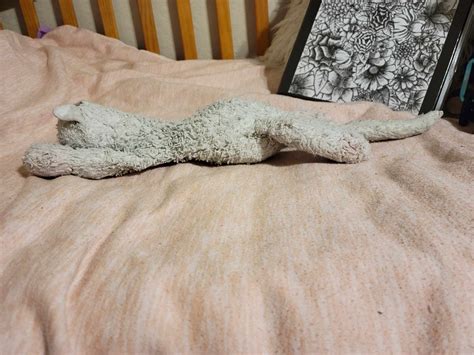 Please Hmf This Kitty Cat Plush Details In Comments R Helpmefind