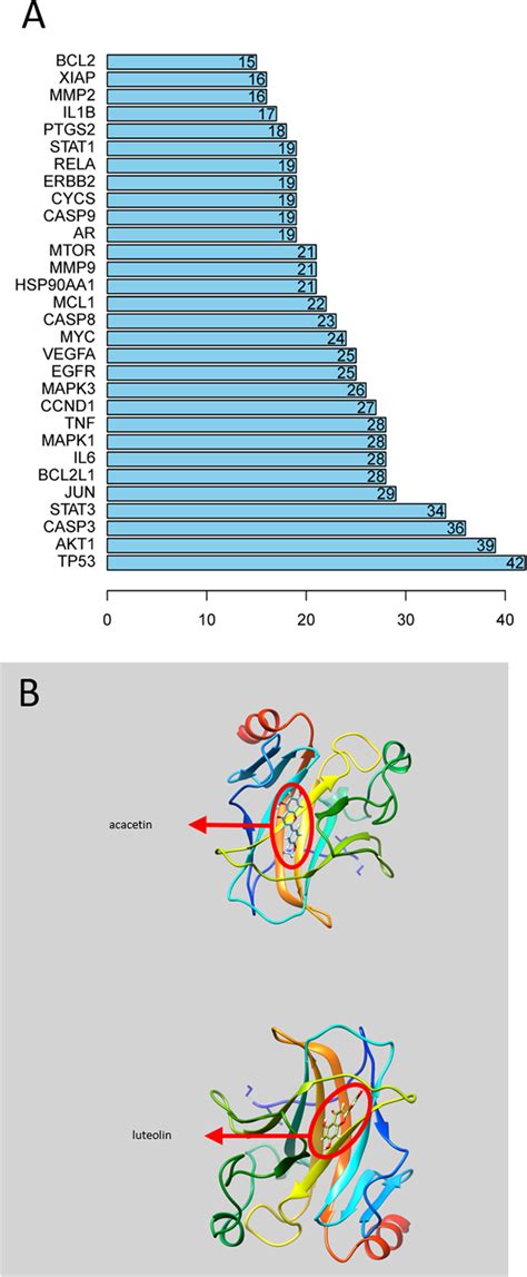 Molecular Docking Stimulation Of Active Components And Target Protein