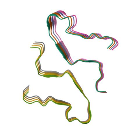 Rcsb Pdb 8ezd Brain Derived 42 Residue Amyloid Beta Fibril Type A