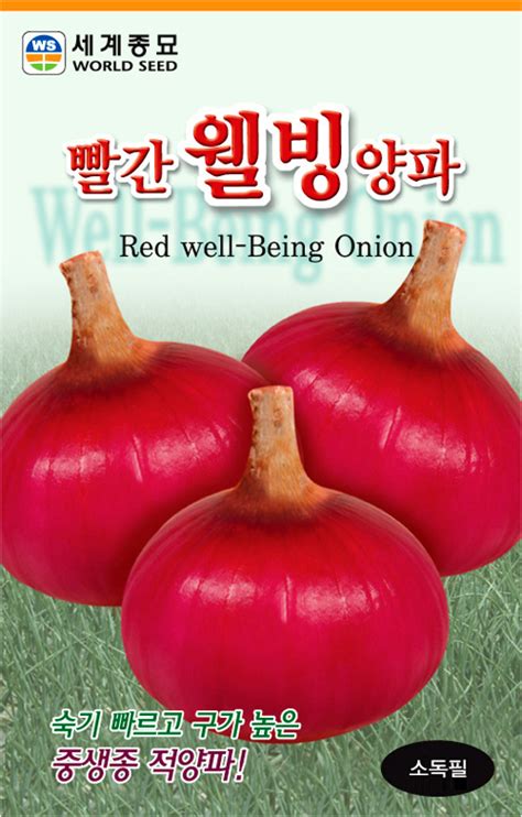 제품소개 양파대파류 빨간웰빙양파적양파