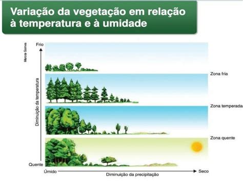 Vegetação Clima E Relevo Fdplearn