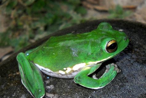 Vườn quốc gia Vũ Quang Tripzone