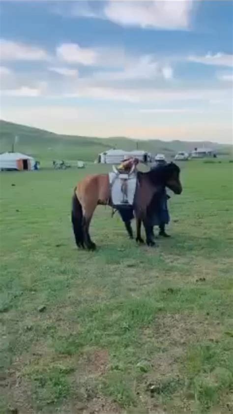 Суран эдлэл On Reels