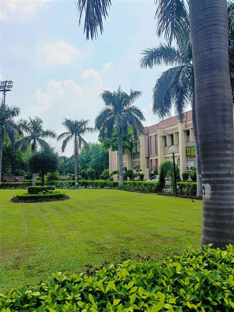 diya gupta on linkedin firstweek collegelife delhiuniversity