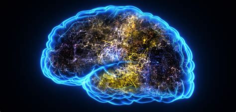 Lambda Waves Compared To The Positive Occipital Sharp Transients Of Sleep
