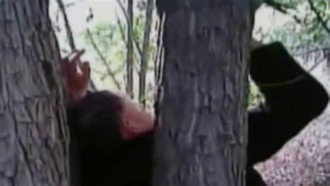 Hizo Un Feo Negocio De Bienes Raíces Y Sus Socios Lo Crucificaron En