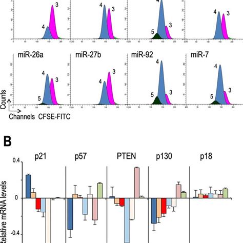 E2f1 E2f2 E2f3 And E2f7 Bind To C Myc Promoter And Regulate Its Download Scientific Diagram
