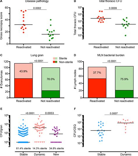 Disease Pathology Bacterial Burden And Bacterial Killing After Tnf Download Scientific Diagram